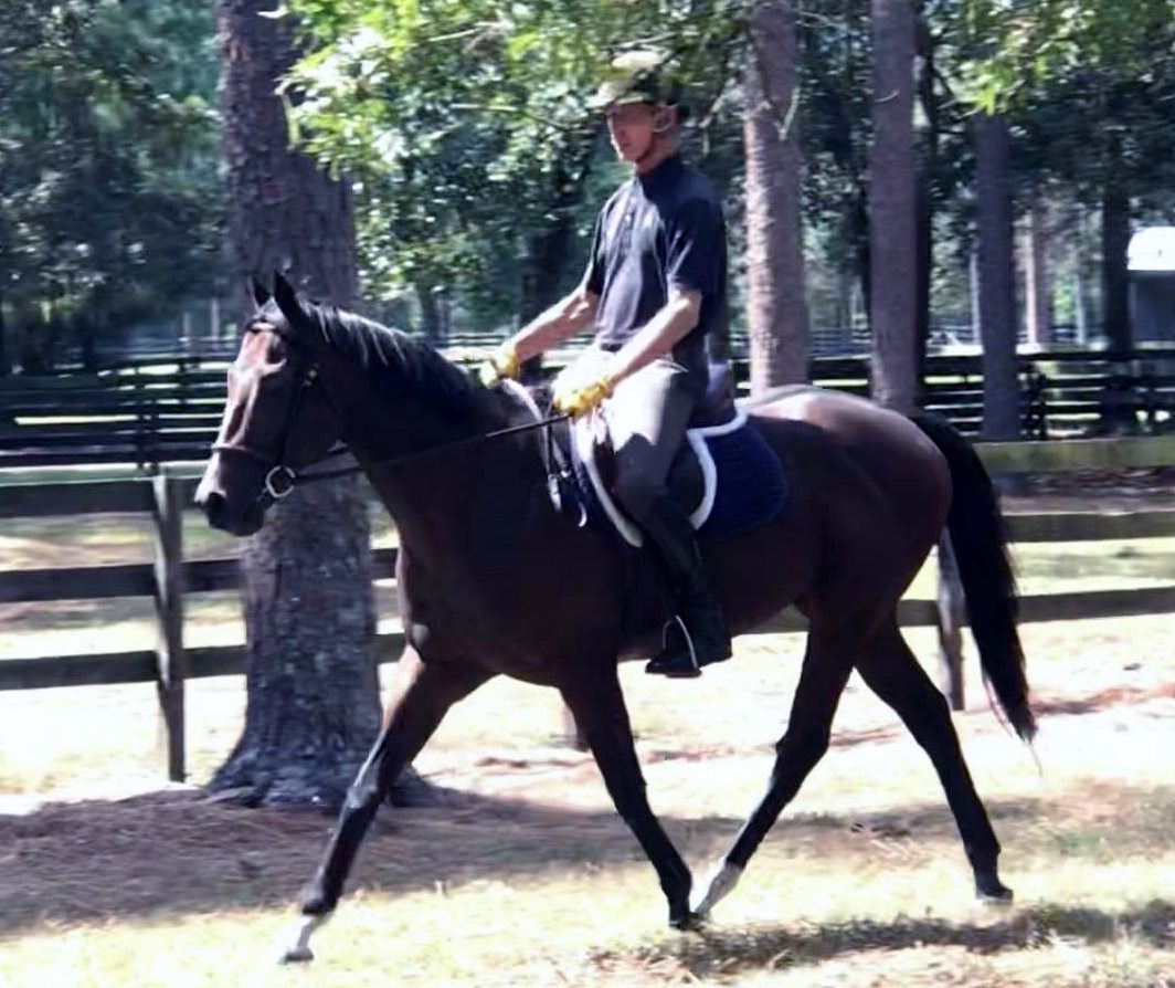 Looking To The Future and Healing The Present – TAD COFFIN TECH